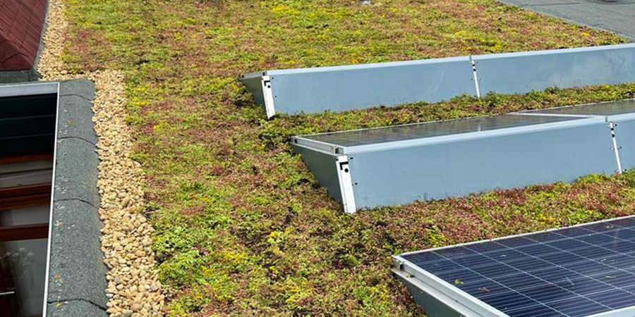 Combineer sedum met solar